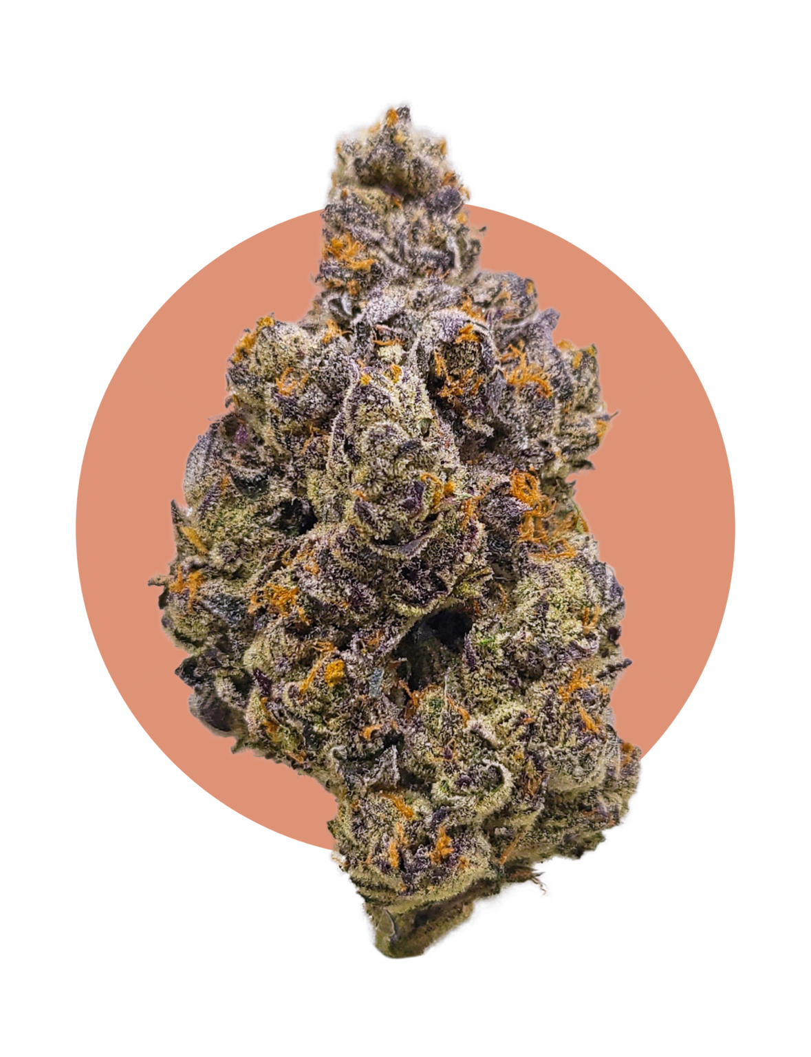 Rainbow Marker BC Craft Cannabis – A Colorful Experience in Every Puff